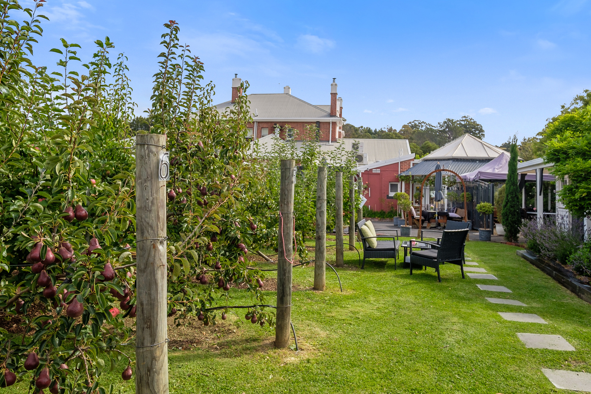 Cygnet Old Bank - The Huon Valley Southern Tasmania