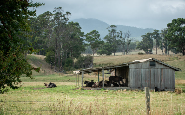 Cygnet - The Huon Valley Southern Tasmania
