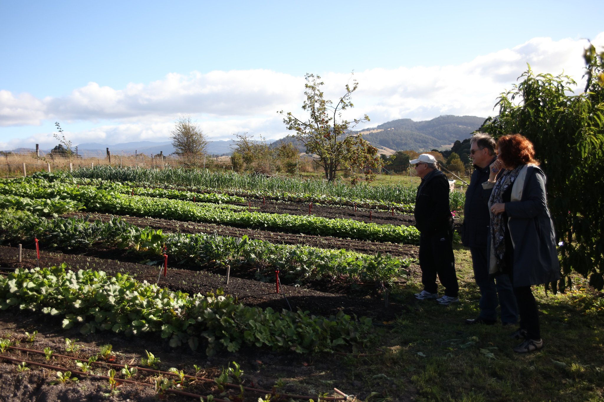 Fat Pig Farm - The Huon Valley Southern Tasmania