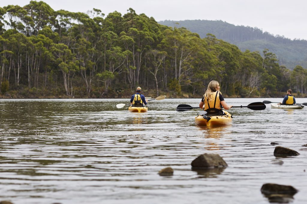 River Run Kayak Tour - The Huon Valley Southern Tasmania